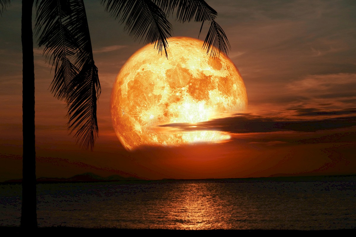 Corn Full Moon Celebration